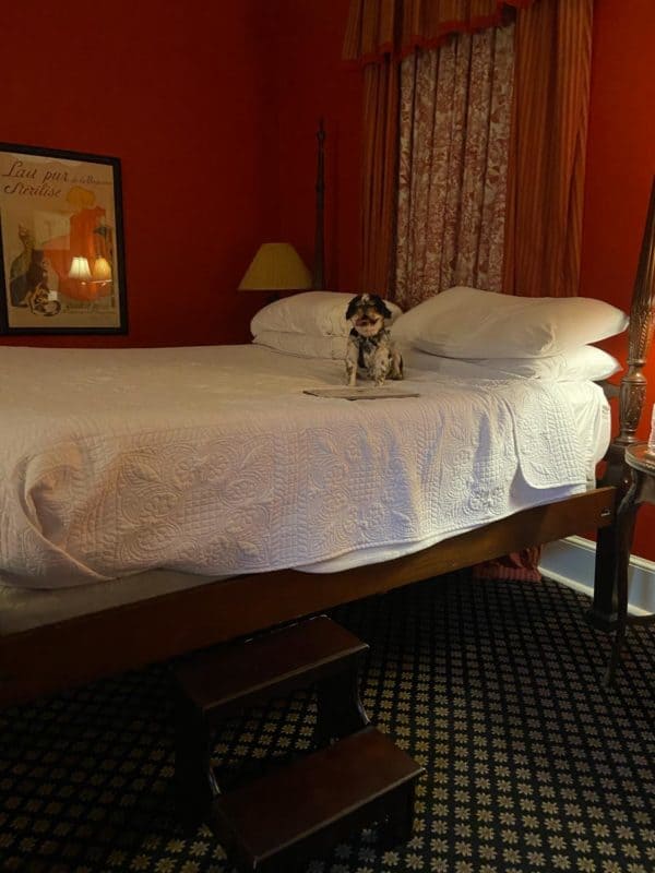 Best Things To Do On A Solo Trip To Savannah GA + Map